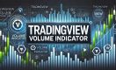TradingView Volume Indicator: Introduction, Settings, Readings and ...